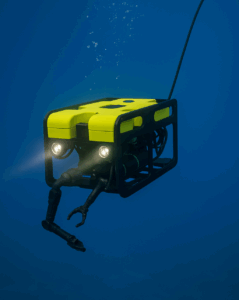 ROV